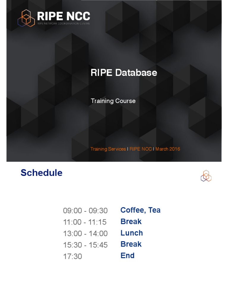 RIPE Database Training Slides | PDF | Domain Name System | Server ...