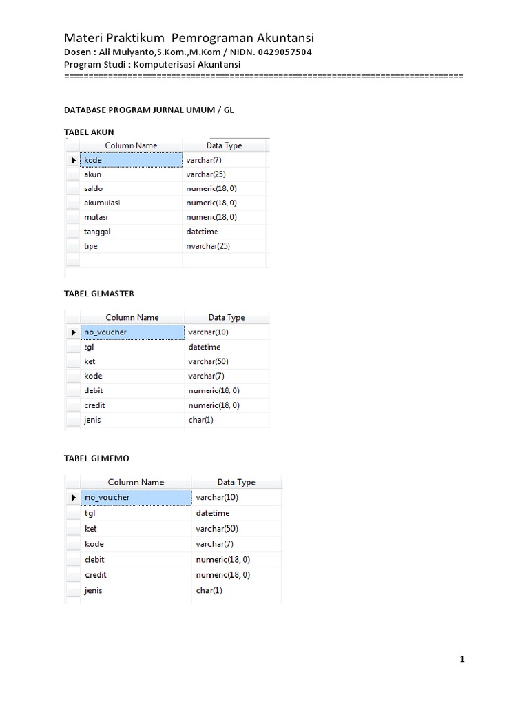 Pemrograman Akuntansi Dengan Delphi | PDF