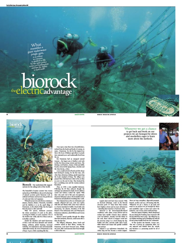 BIOROCK : The Electric Advantage | Coral Reef | Coral
