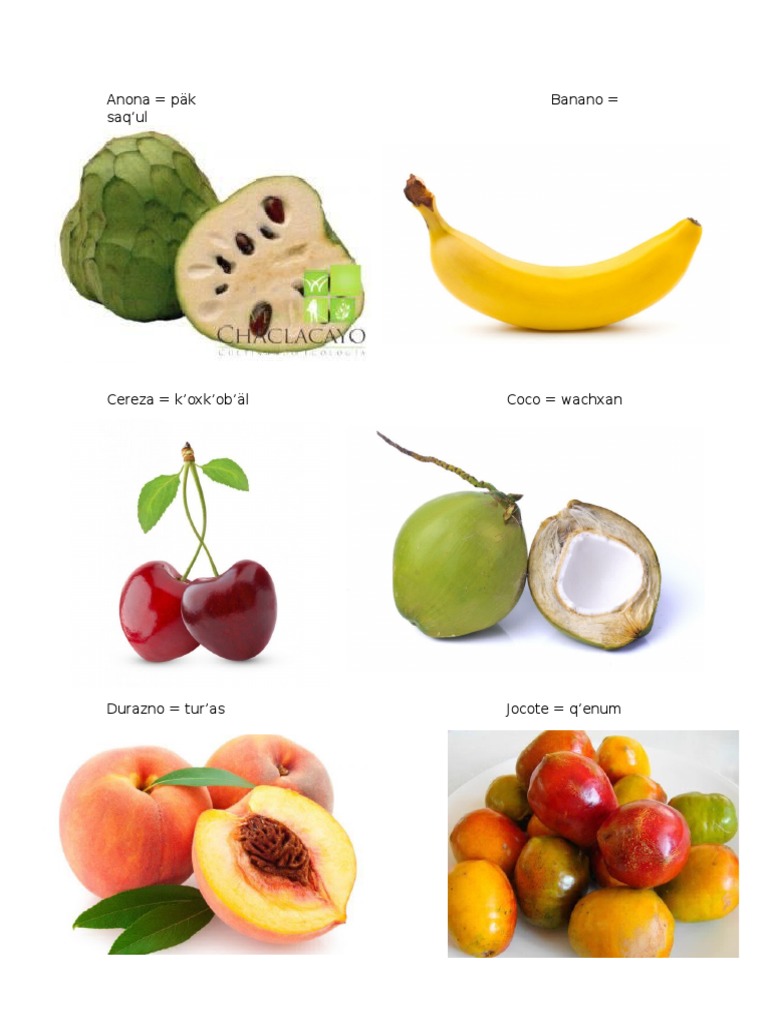 Lista de nombres de frutas en maya y breve descripción de sus ...