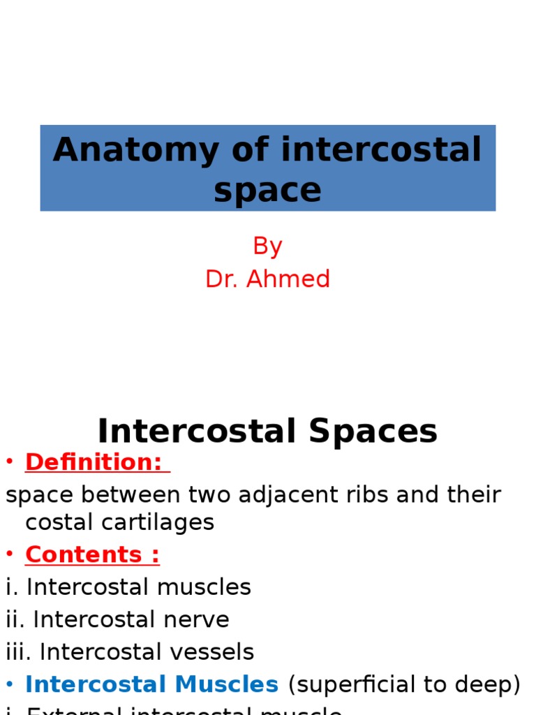 Anatomy and Contents of Intercostal Space | PDF
