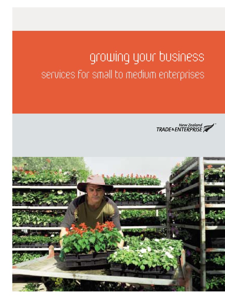 Grow Sme Guide | PDF | Small And Medium Sized Enterprises | Exports