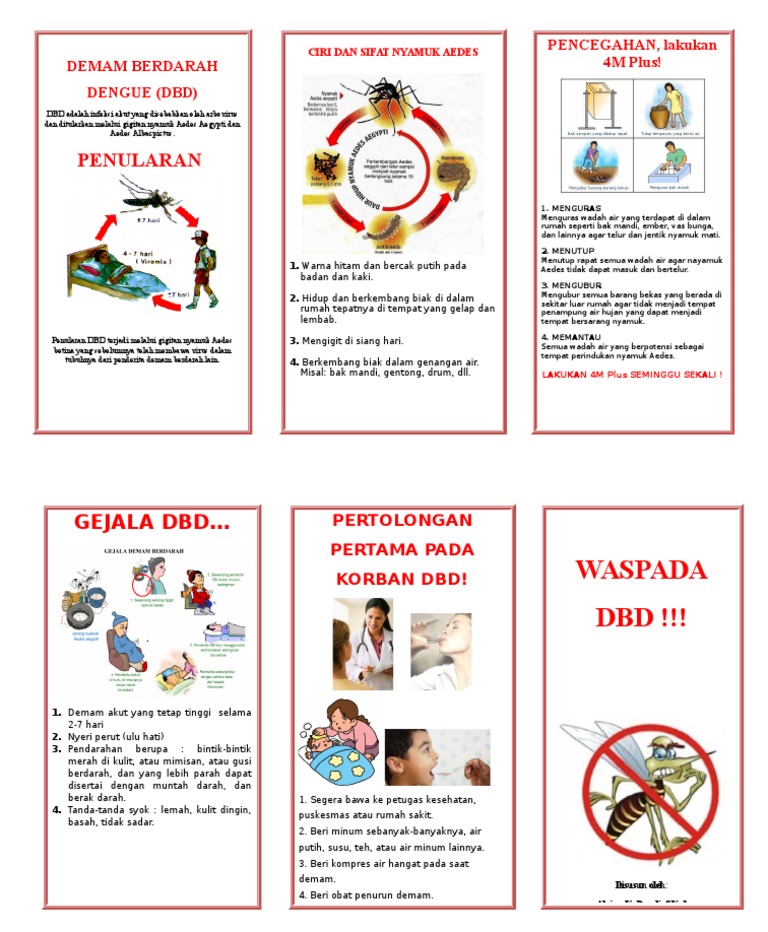Leaflet DBD Baru | PDF