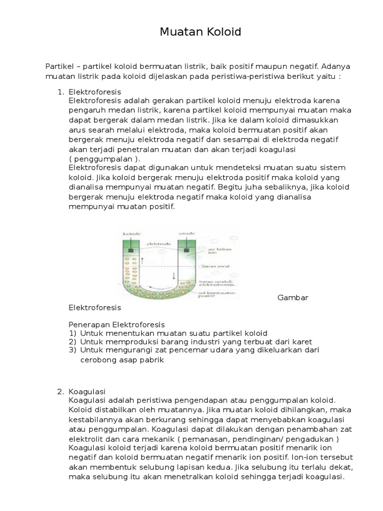 Muatan Koloid | PDF | Sains & Matematika