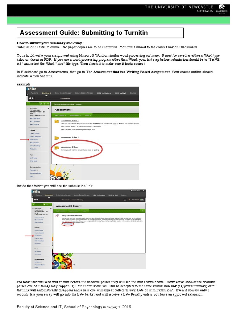 Assessment Guide: Submitting To Turnitin: How To Submit Your Summary ...