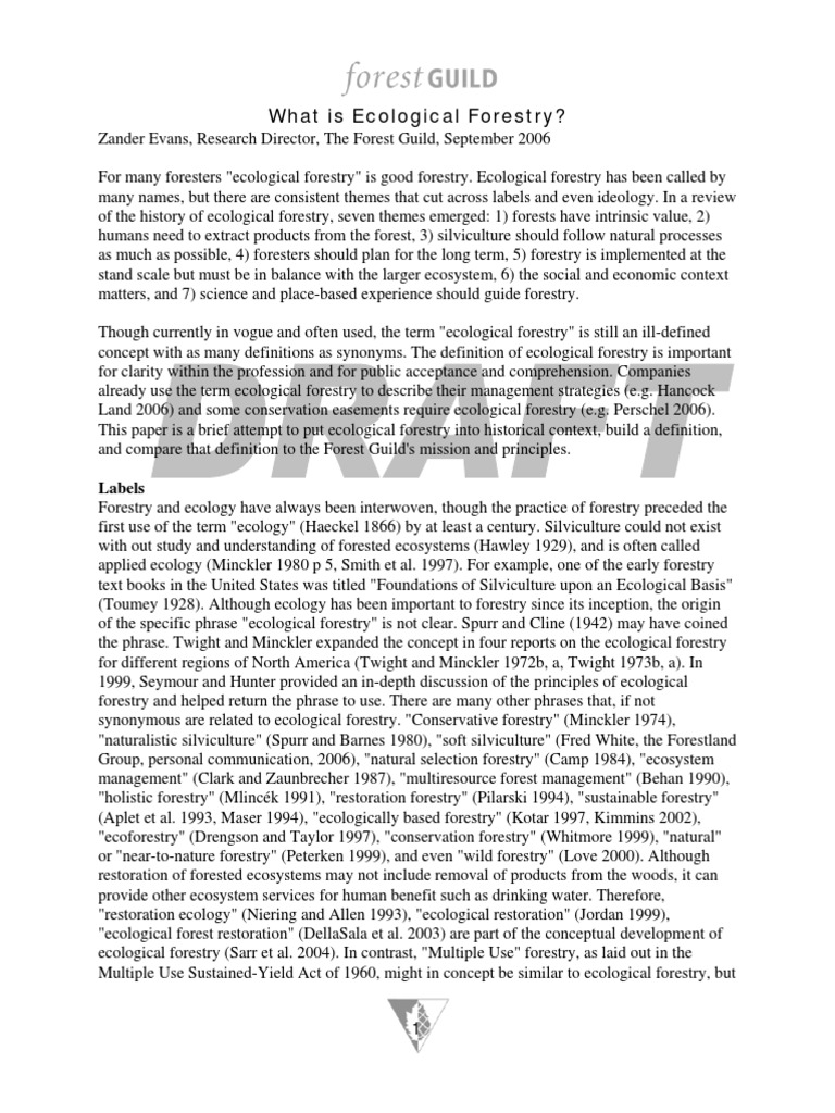 What Is Ecological Forestry?: Labels | PDF | Forestry | Ecology