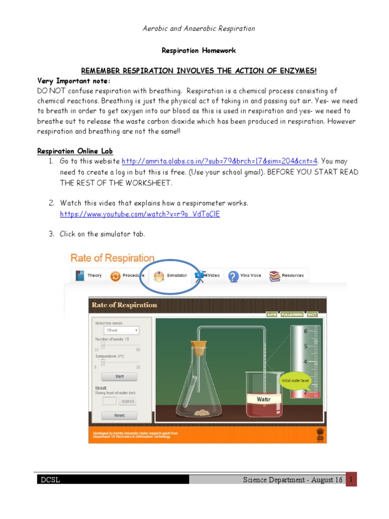 Respiration Homework | PDF | Fermentation | Cellular Respiration