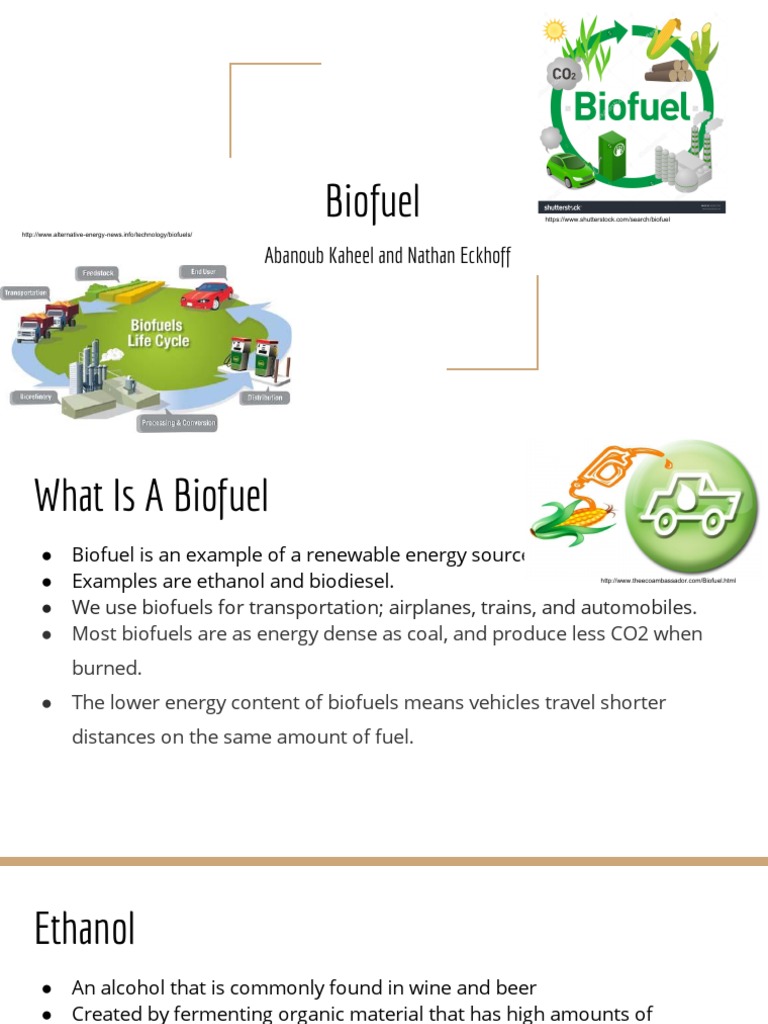 Biofuel | PDF | Biofuel | Biodiesel