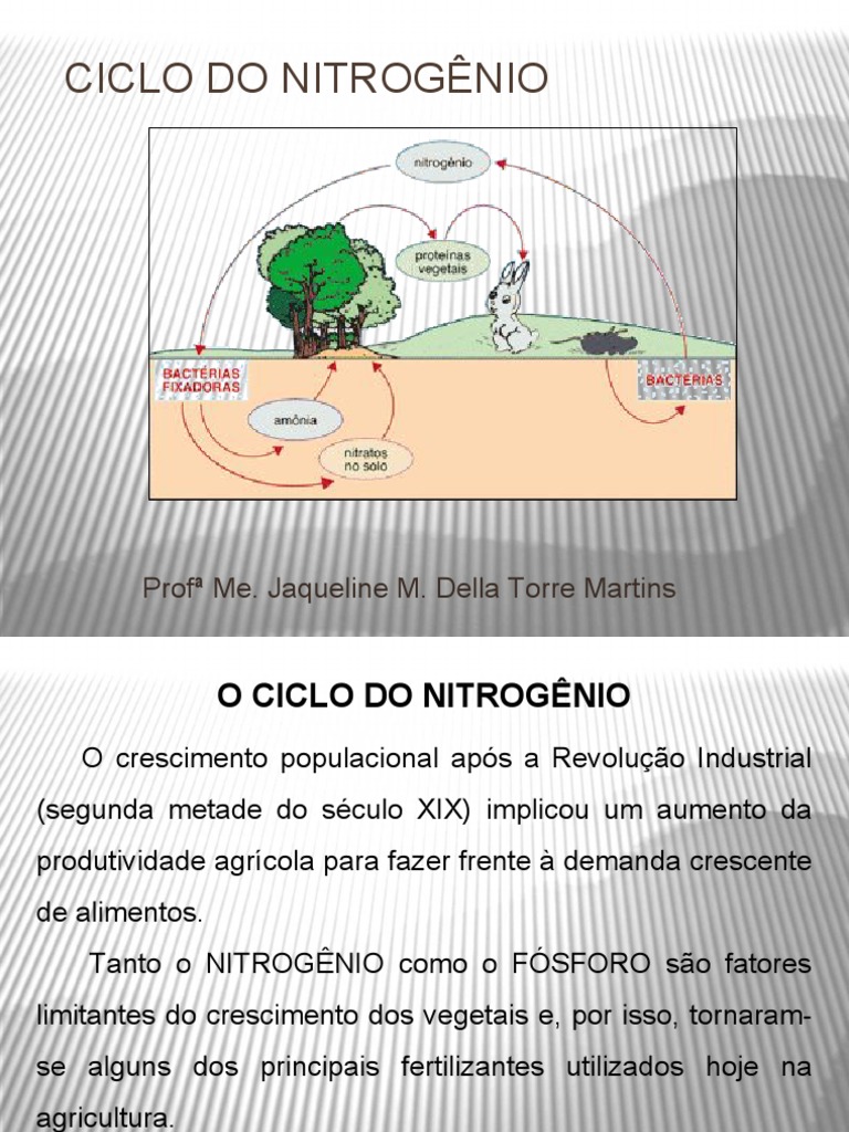 Ciclo Do Nitrogênio.pptx | Nitrogênio | Química