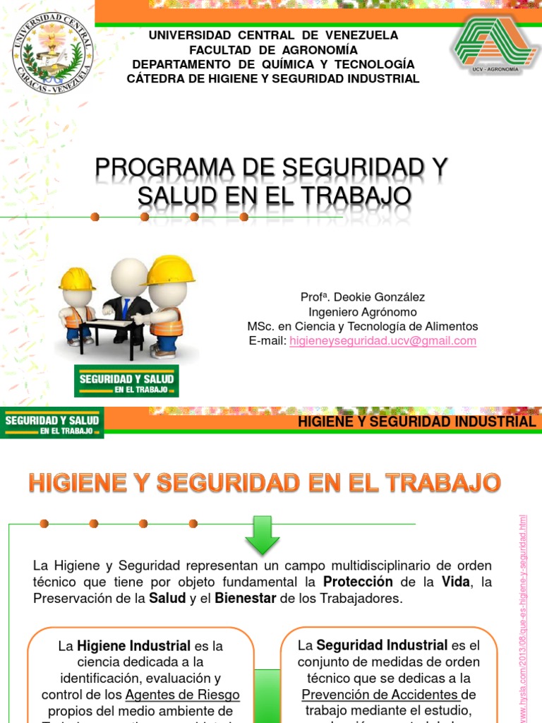Programa de Seguridad Laboral | PDF | Seguridad y salud ocupacional | La seguridad