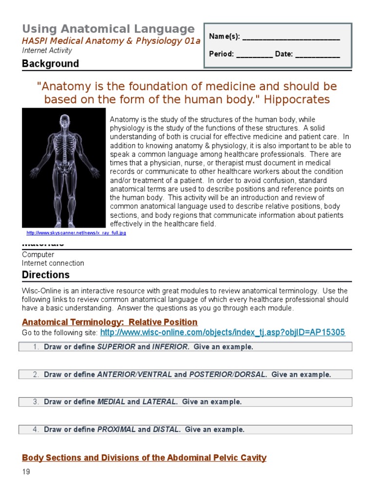 Introduction to Anatomical Language | PDF | Anatomical Terms Of ...