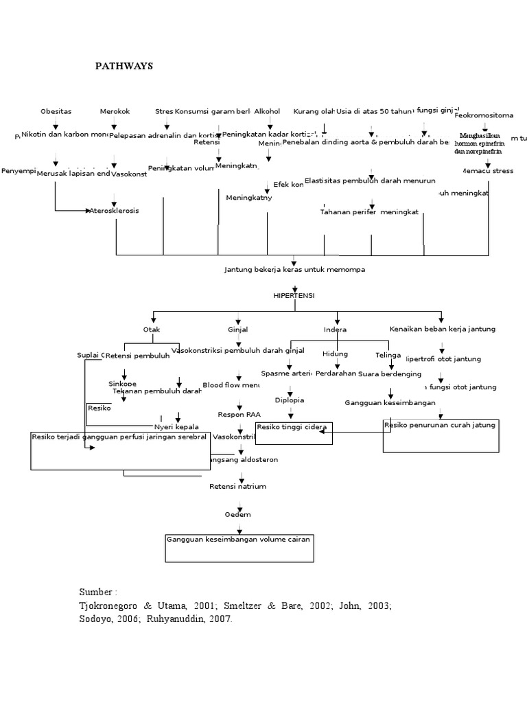 Pathway Hipertensi | PDF