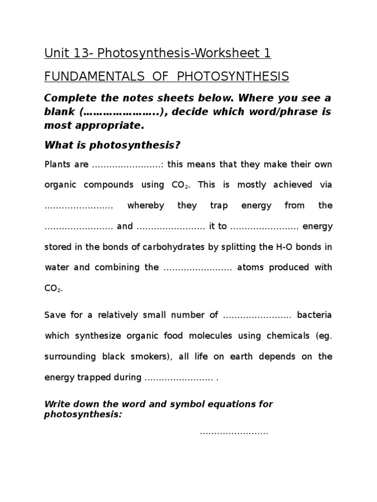 Photosynthesis Worksheet | PDF | Photosynthesis | Adenosine Triphosphate