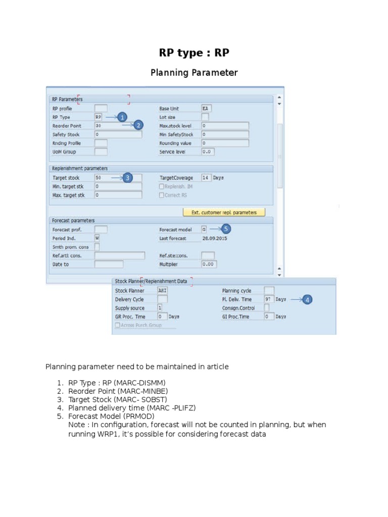 Step For Running RP in SAP | PDF | Computing | Teaching Mathematics