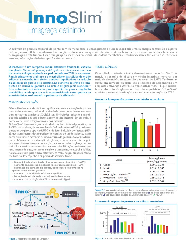 Innoslim Site Pharmaceutical | PDF | Músculo | Bioquímica