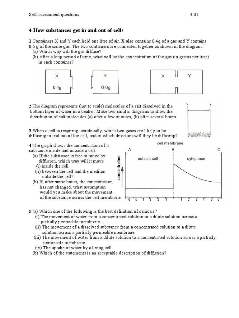 Diffusion and Osmosis Concepts Explained | PDF | Osmosis | Cell Membrane