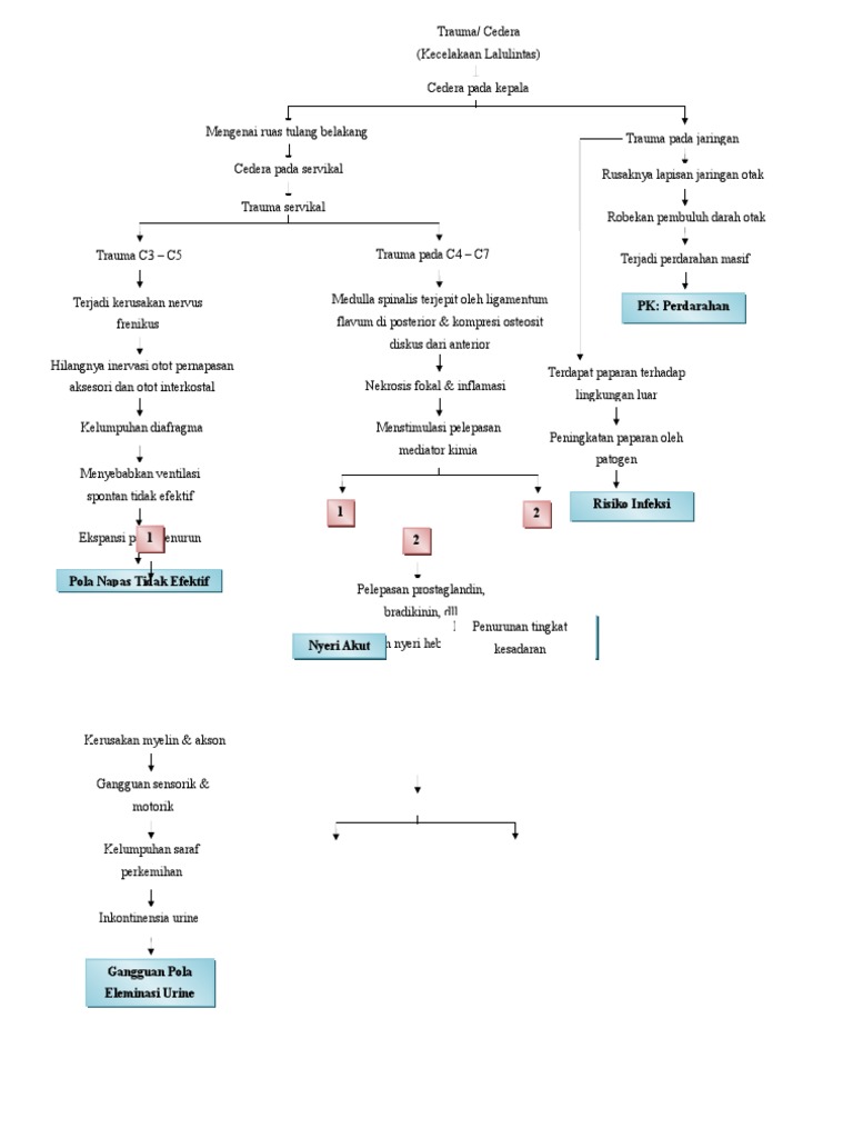 PATHWAY Trauma Servikal | PDF | Sains & Matematika