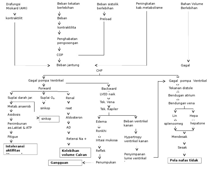 Pathway CHF | PDF
