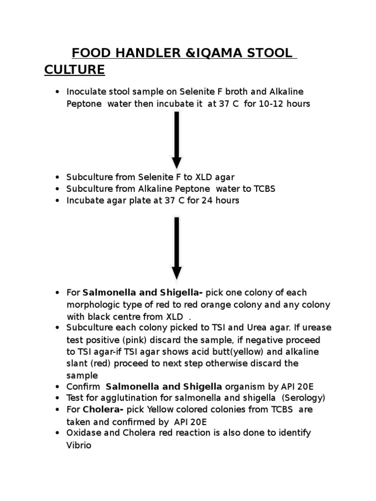 Inoculate Stool Sample On Selenite F Broth and Alkaline Peptone Water ...