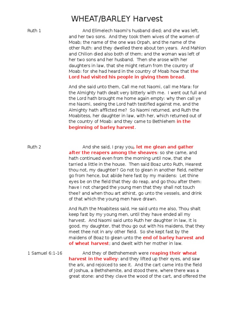 Wheat/Barley Harvest | PDF | Book Of Ruth | Naomi (Biblical Figure)
