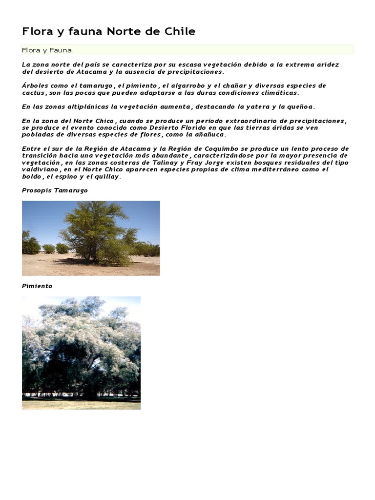 Flora y Fauna del Norte Chico de Chile | PDF | Organismos | Agricultura