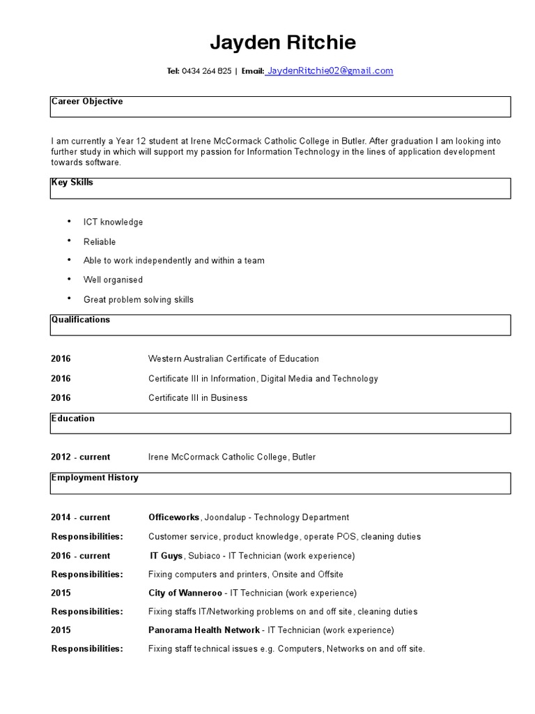 Year 12 IT Student Resume Summary | PDF | Career & Growth | Business