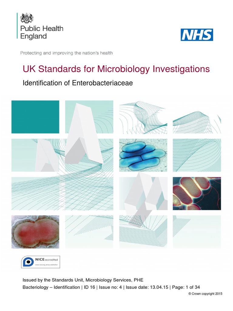 Identification of Enterobacteriaceae | Escherichia Coli | Salmonella