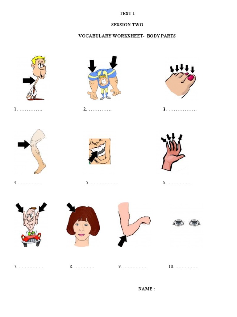 Vocabulary Worksheet: Body Parts | PDF | Science & Mathematics