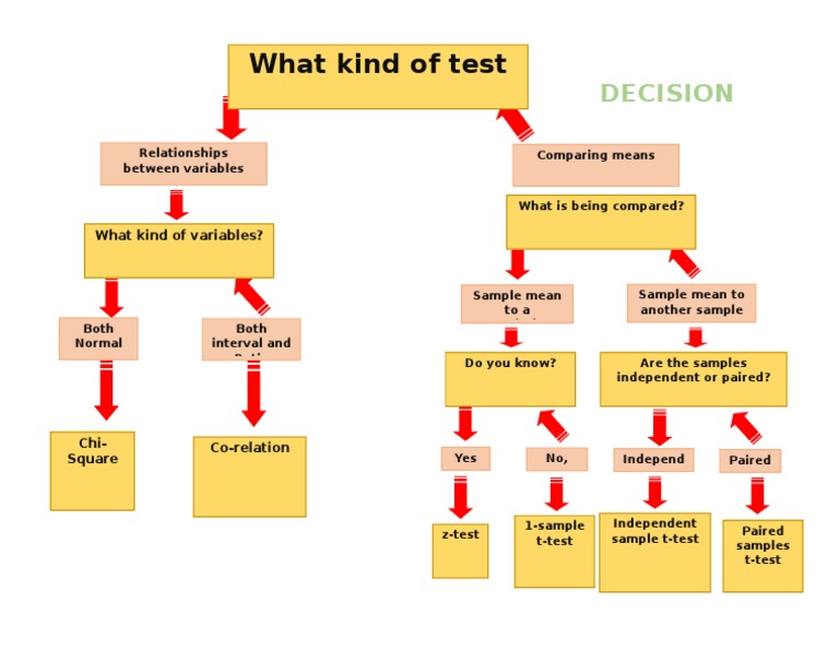 What Kind of Test: Decision | PDF