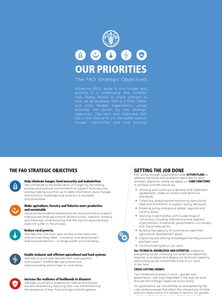 The FAO Strategic Objectives | PDF | Food And Agriculture Organization ...