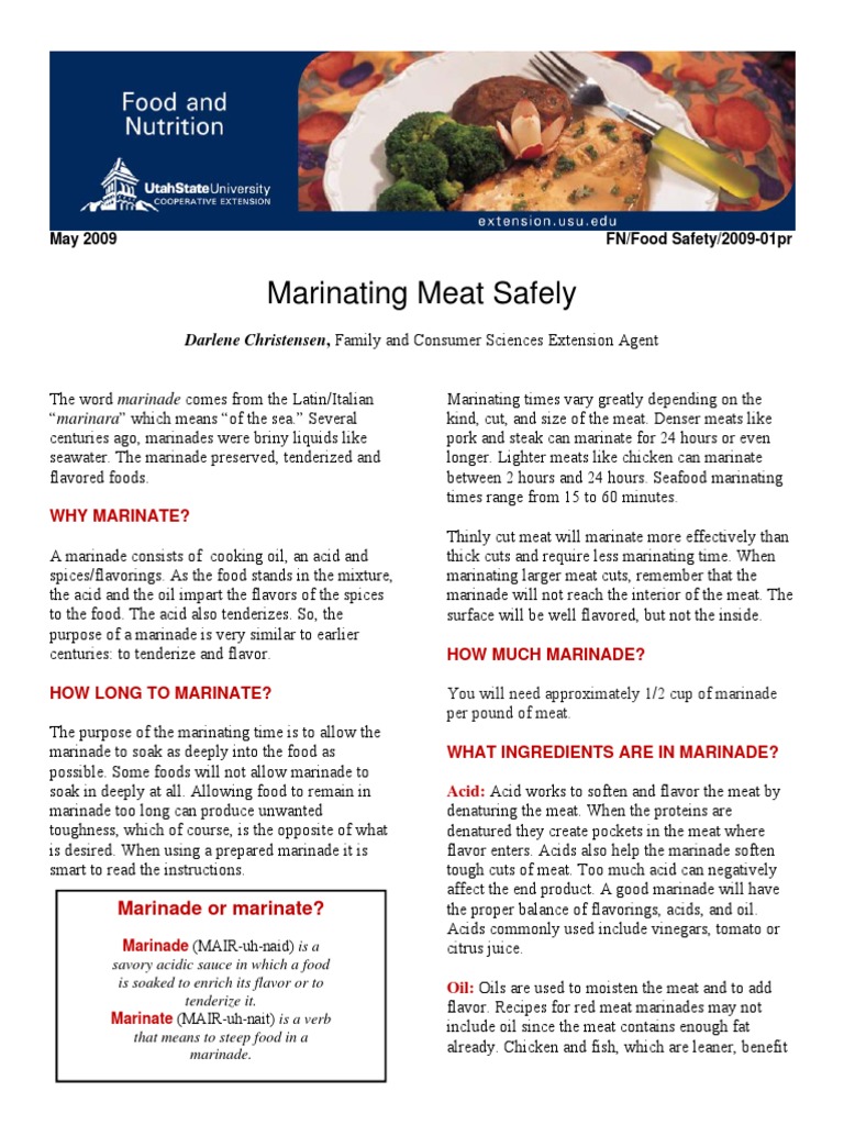 A Comprehensive Guide to Safely Marinating Meat at Home | PDF ...