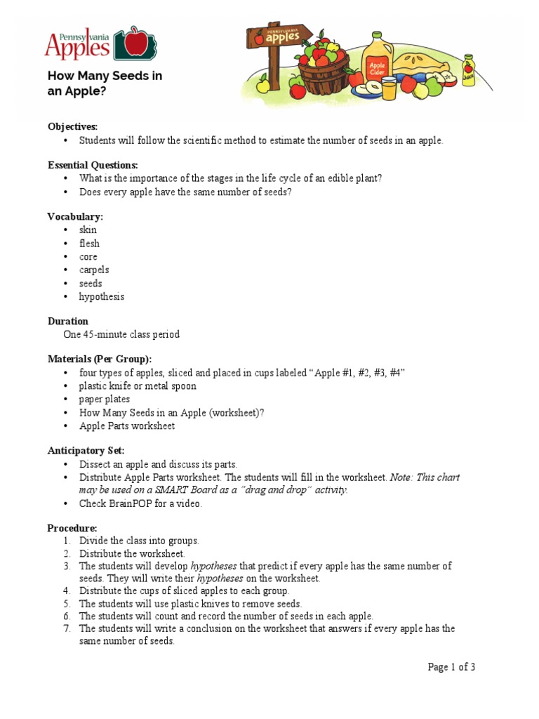 How Many Seeds in An Apple?: Objectives | PDF | Hypothesis | Experiment