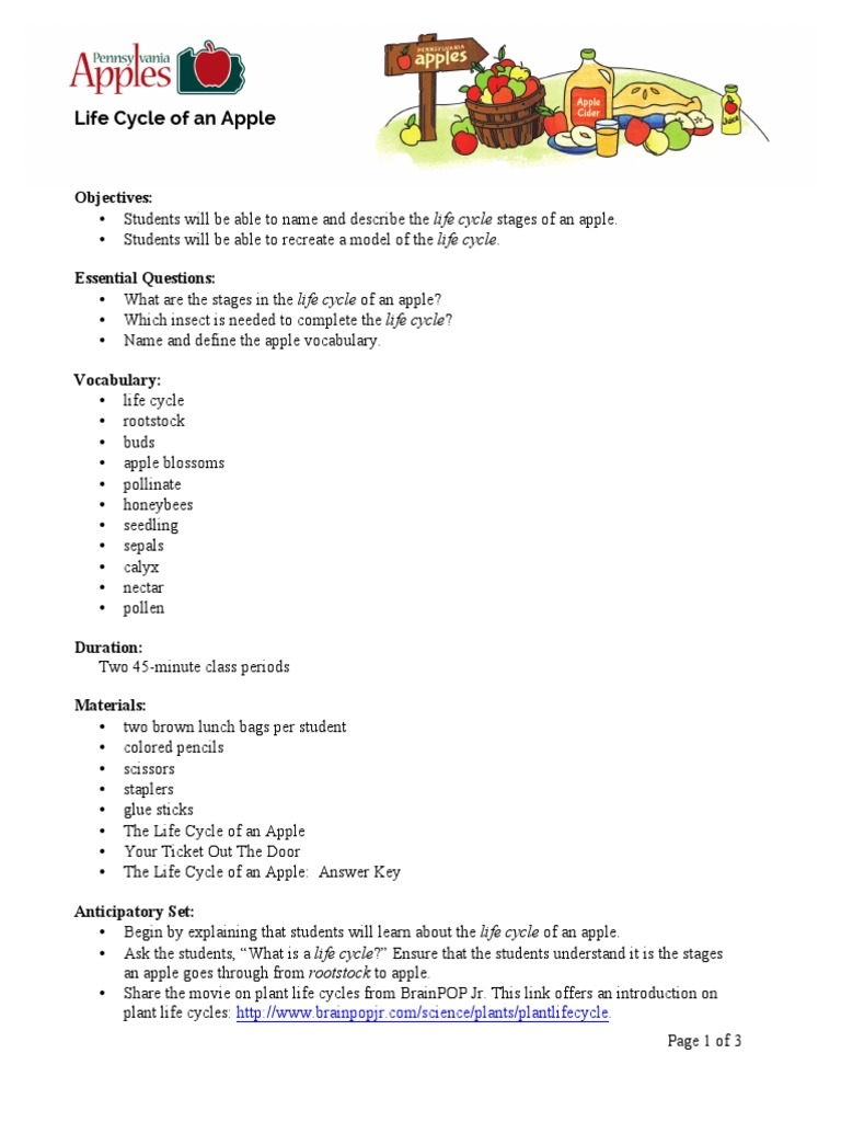 Life Cycle of An Apple: Objectives | PDF | Apple | Educational Assessment