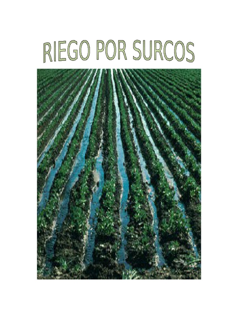 Diseño de Surcos | PDF | Riego | Descarga (hidrología)