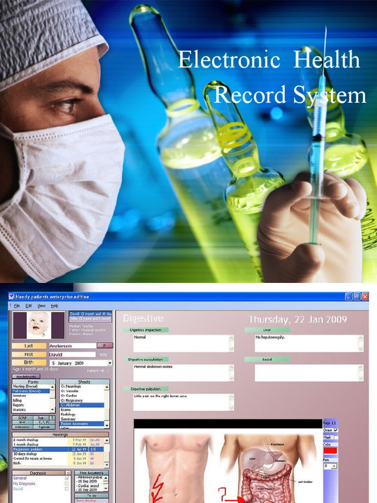 Electronic Health Records System | PDF | Electronic Health Record ...