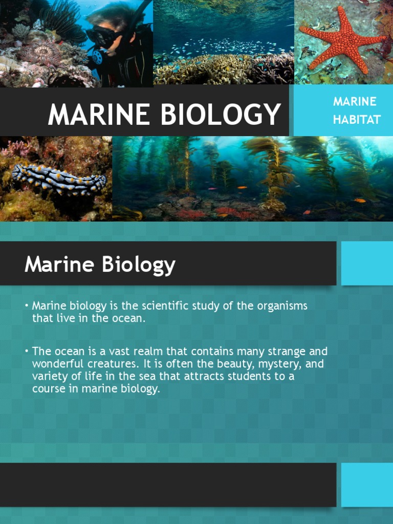 Marine Biology | PDF | Deep Sea | Aquatic Ecology