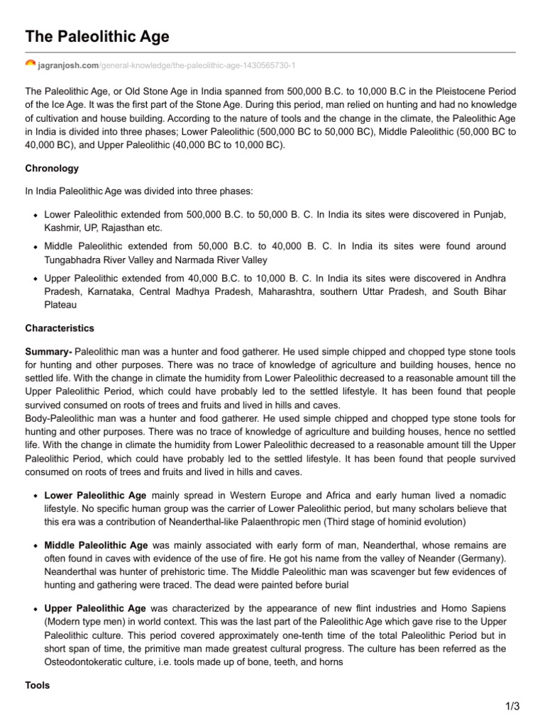 The Paleolithic Age | PDF | Paleolithic | Human Evolution