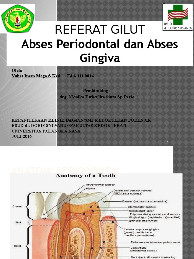 Abses Periodontal dan Gingiva: Definisi dan Perawatan | PDF