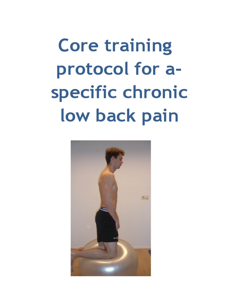 Protocol For Core Training | PDF | Anatomical Terms Of Motion | Vertebra