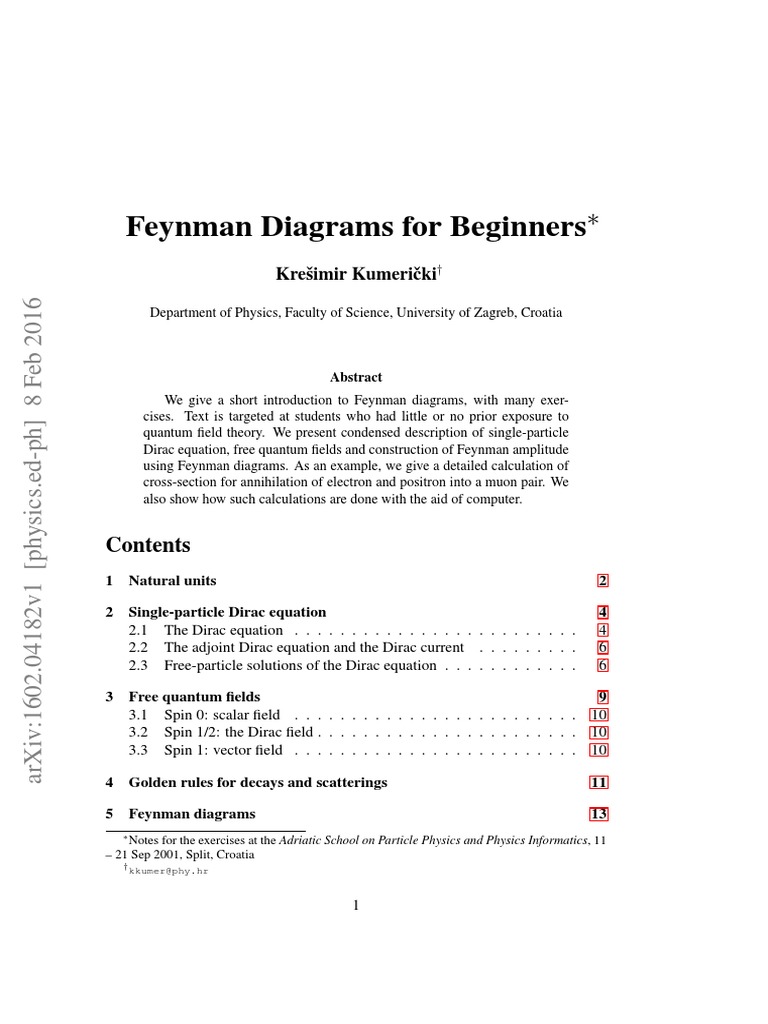 Feynman Diagrams For Beginners | PDF