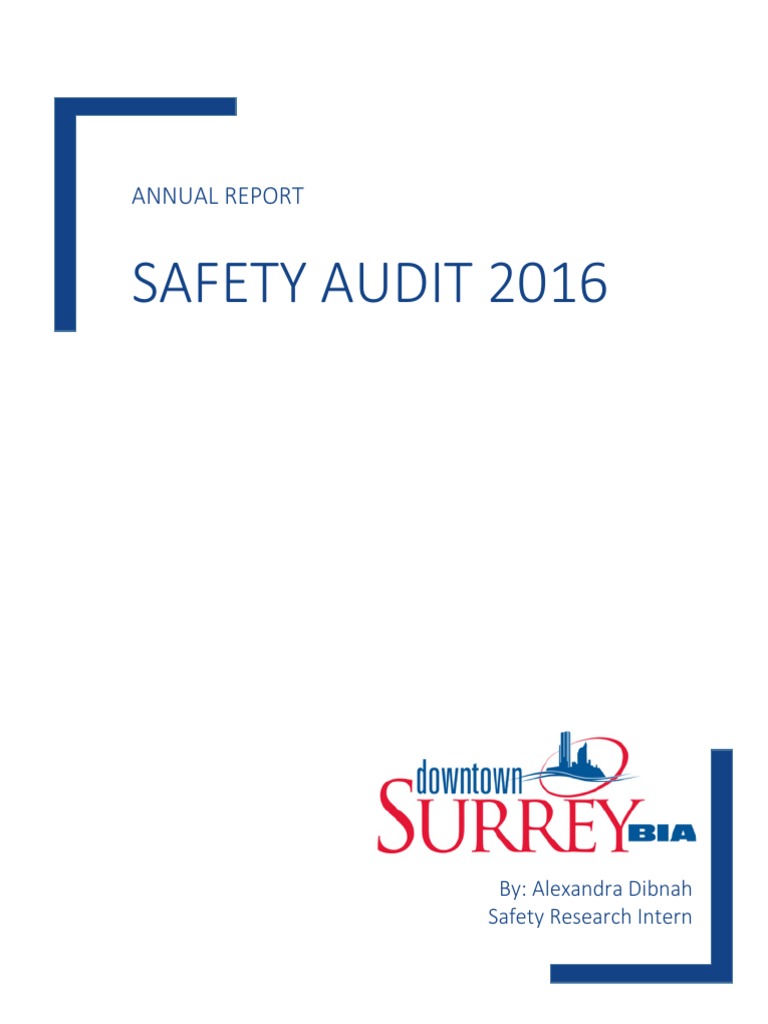Surrey Safety Audit | PDF | Homelessness | Perception