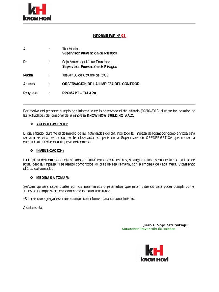 Informe Modelo | PDF