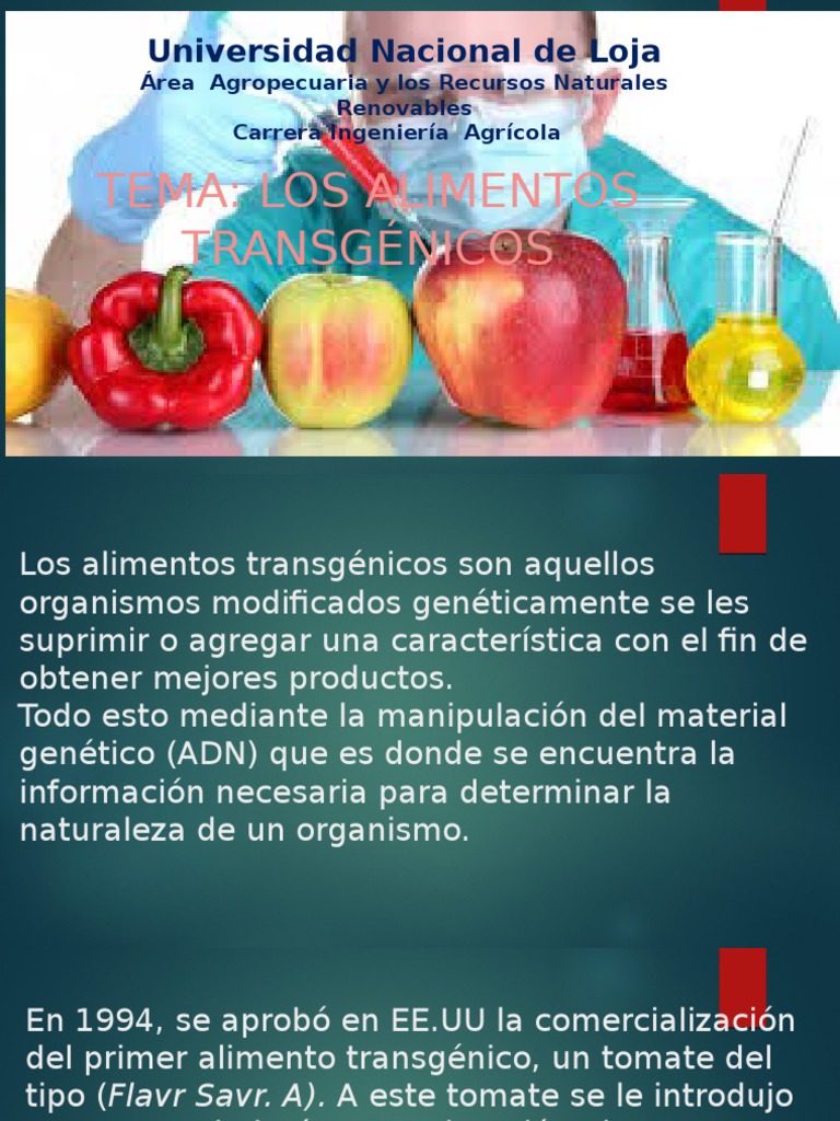 Los alimentos transgénicos: beneficios y riesgos para la salud y el ...