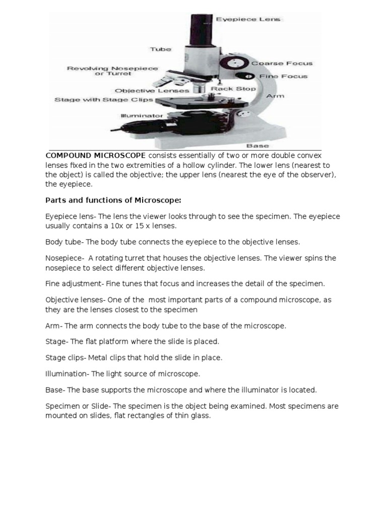 COMPOUND MICROSCOPE Consists Essentially of Two or More Double Convex | PDF