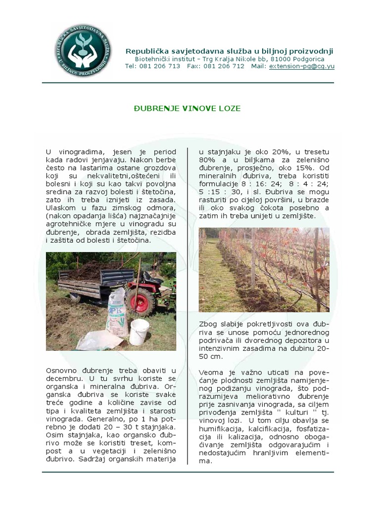 Djubrenje Vinove Loze PDF | PDF