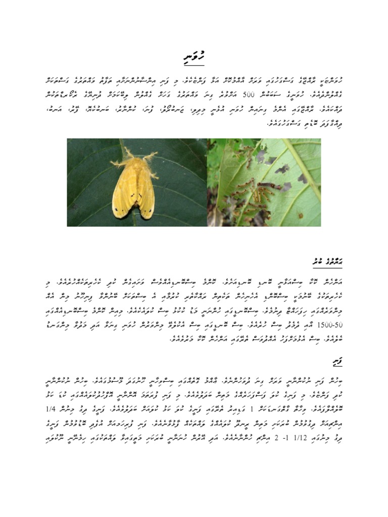 Huvani Information | PDF
