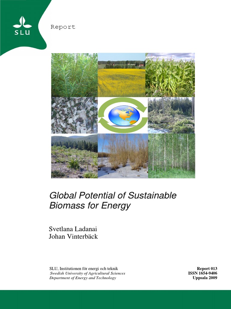 Global Biomass Energy Potential Report | PDF | World Energy Consumption ...
