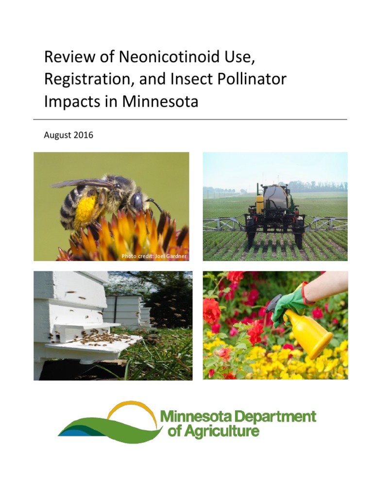 Executive Summary Neonic Special Review Aug 25 2016 | PDF | Insecticide ...