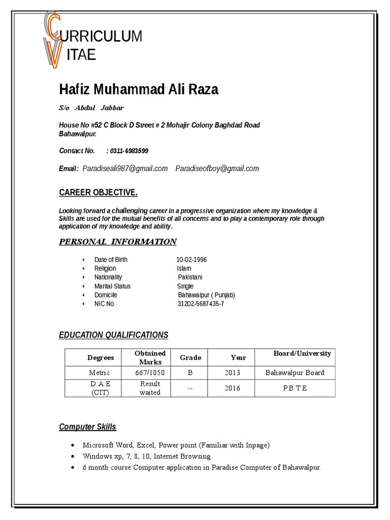 Ali Raza CV | PDF