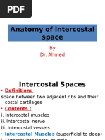 Anatomy and Significance of Bronchopulmonary Segments | PDF